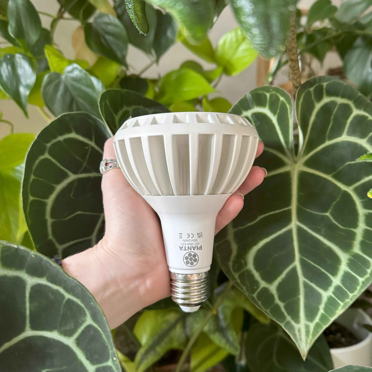 How to use Grow Lights - The Complete Guide for Indoor Plant Care – Grow Gang