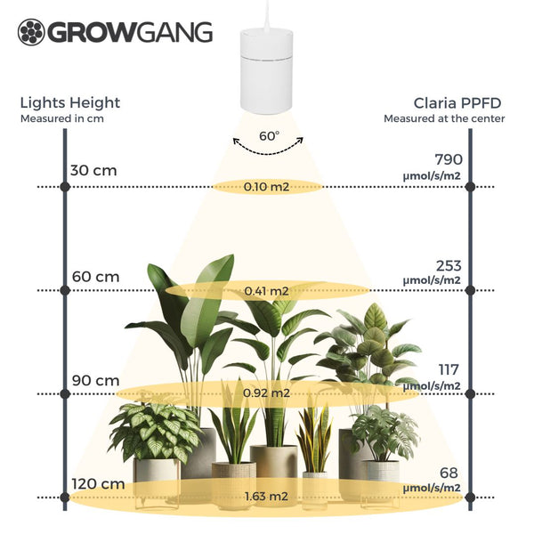 How Close Should You Keep Your Claria Grow Light to Your Plants? – Grow ...