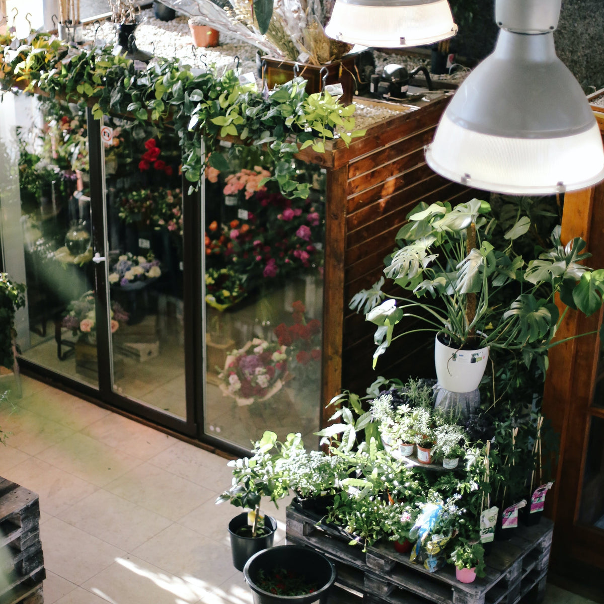 Grow Light Terminology and Measuring for Optimal Lighting – Grow Gang