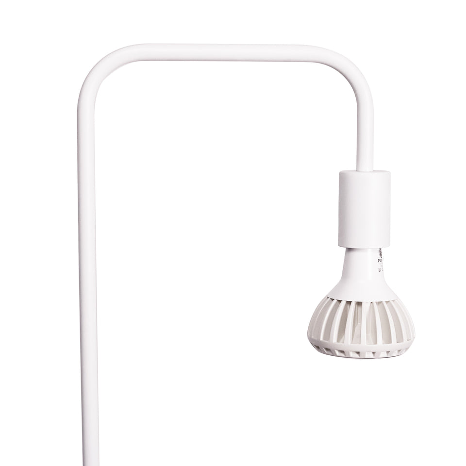 Pianta Grow Light and Adjustable Floor Lamp Bundle – Grow Gang