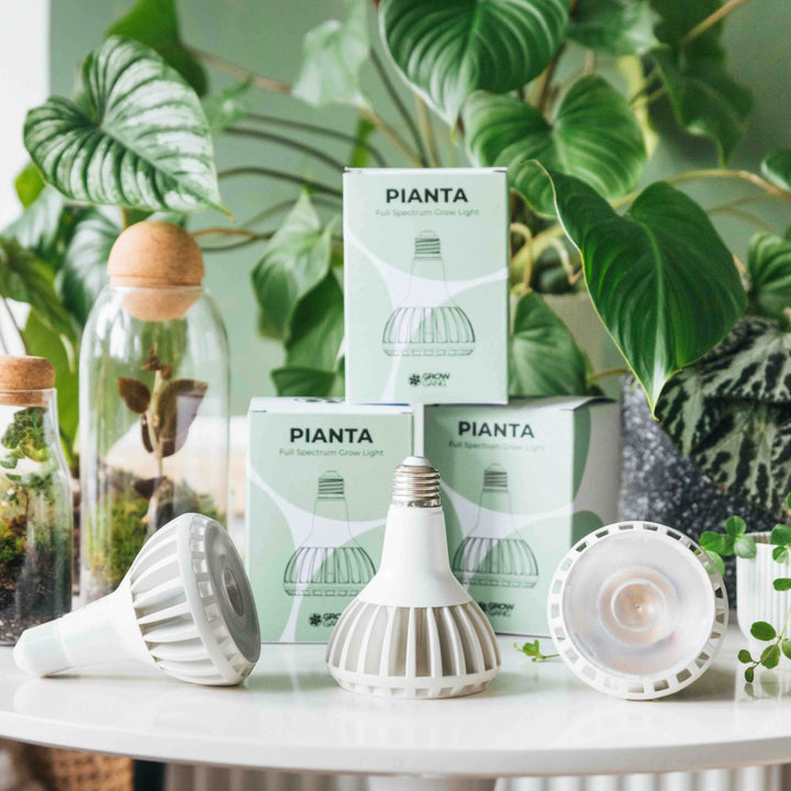 Pianta LED Grow Light 3-Pack bundle – Grow Gang