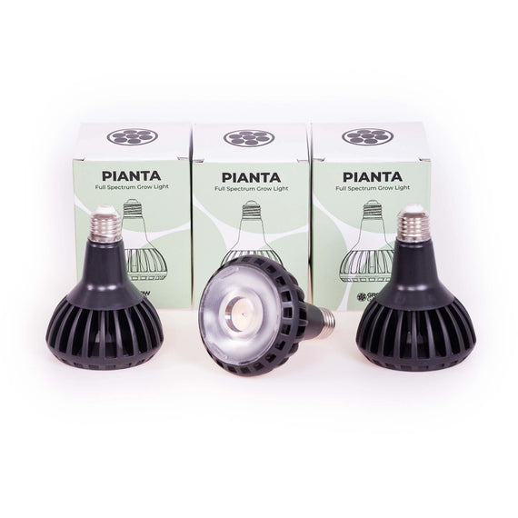 Pianta LED Grow Light 3-Pack bundle – Grow Gang
