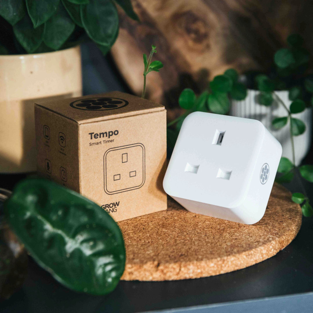 Best Digital Plug-In Timer for Grow Lights | Smart Plant Timer - Grow Gang