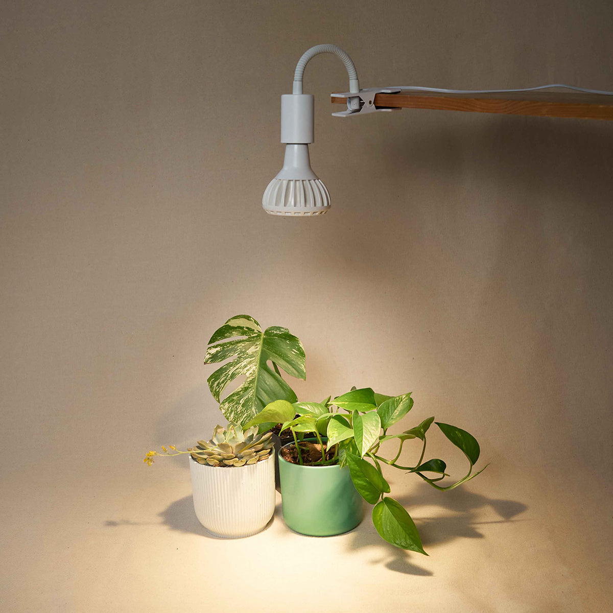 Pianta LED Grow Light Bulb – Grow Gang