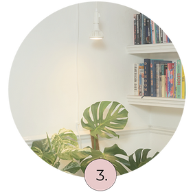 Pianta Grow Light - LED Bulbs for Indoor Plant Growth UK - Grow Gang